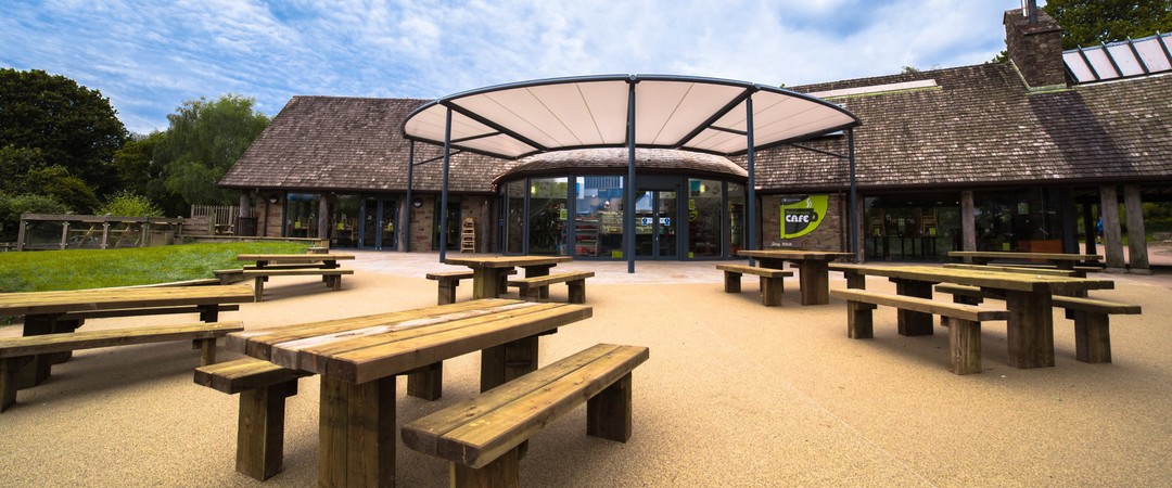 Forest of Dean - Nature In The UK - Forest In Gloucestershire