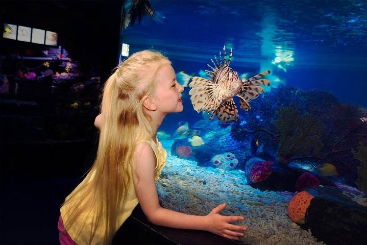 SEA LIFE Loch Lomond