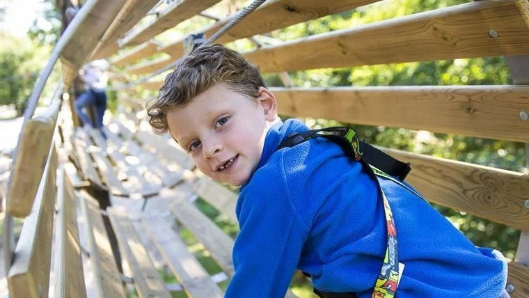 Go Ape Treetop Adventure - Go Ape Whinlatter