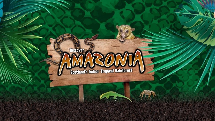 Amazonia M&D's Tickets - Get up to 40% Off Tickets