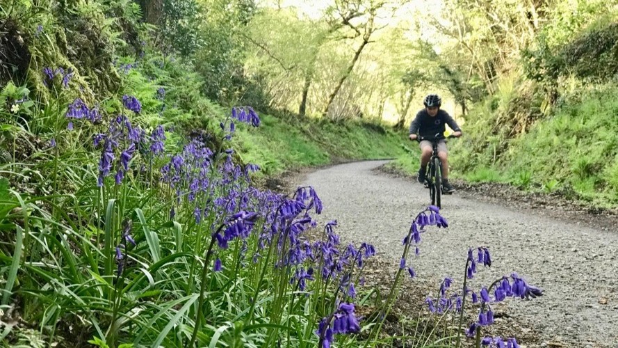 Explore by Bike Cornwall - Family Bike Rides