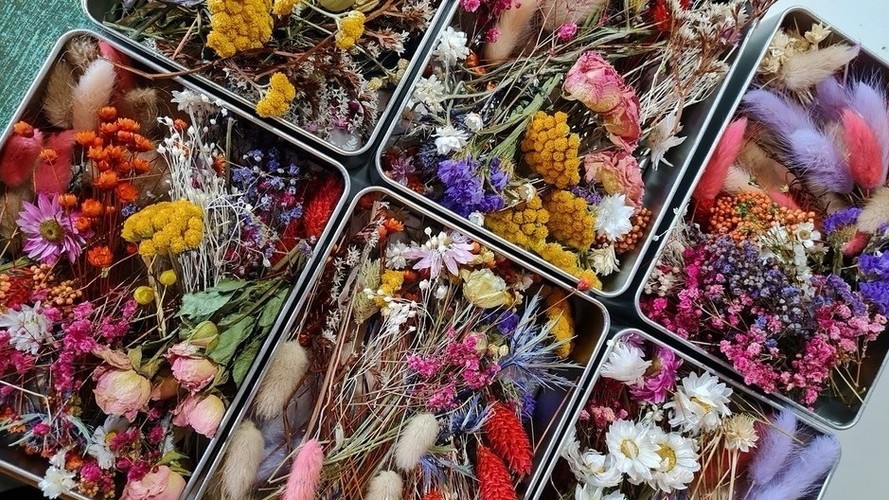 Craft Workshops Nottingham Tickets - Family Crafts Nottingham
