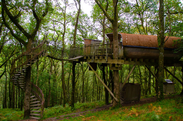 Living Room Tree Houses Machynlleth Wales | Baci Living Room
