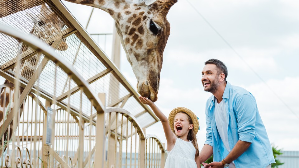 Blog - Treat your family to a wild day out at the zoo - book your ...