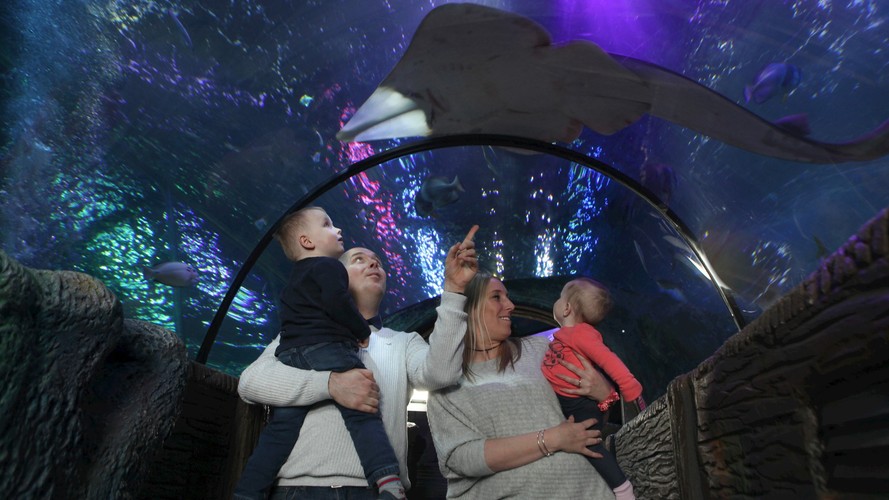 SEA LIFE Blackpool Aquarium Tickets - Voucher With Purchase