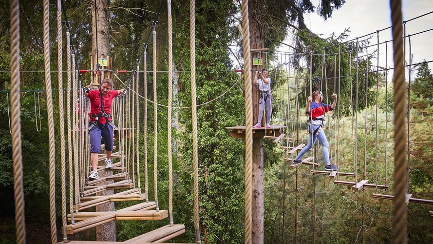 Book Go Ape Black Park Treetop Adventure Plus Tickets Now