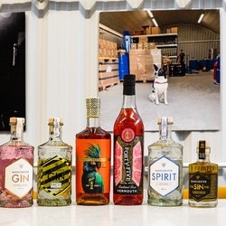 Manchester Gin Distillery Tour: Taste The Distillery