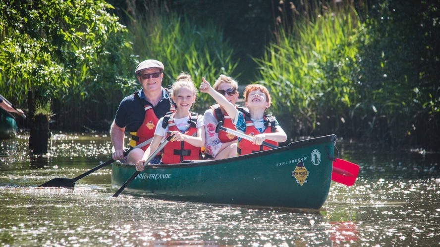 New Forest Activities - Best Price Tickets