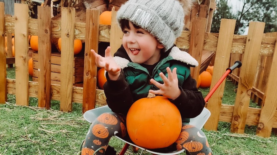 Pennywell Farm Tickets - Pumpkin Picking Devon