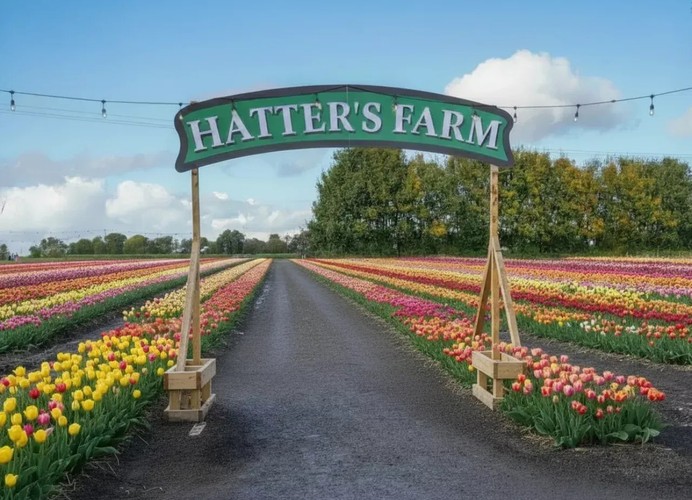 Hatter's Farm Events 2026 - Family Days Out Hertfordshire