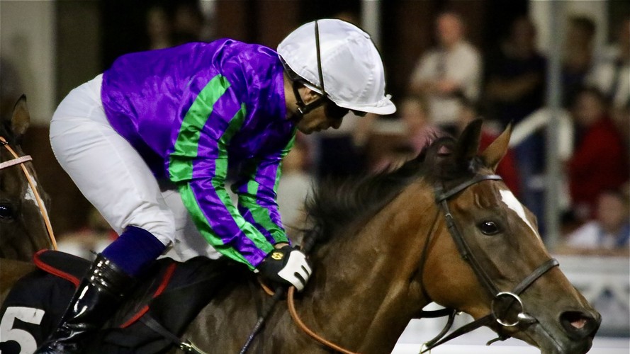 Chelmsford City Racecourse Events - Horse Racing Near London