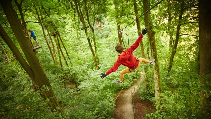 Treetop Challenge at Go Ape Tickets - Buxton Days Out