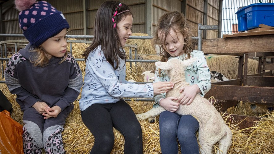 Hirsty's Family Fun Park - 5% off tickets!