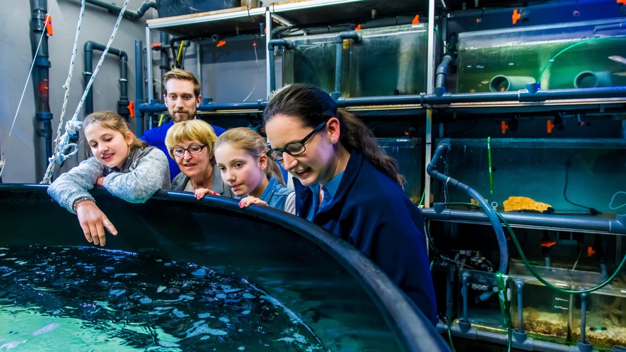 SEA LIFE Centre London - Guided Aquarium Tour Tickets